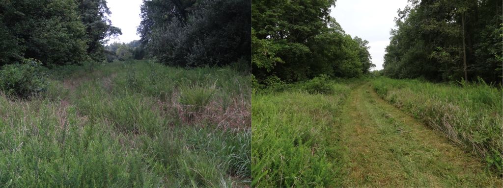 Broad Run Trail Behind Victory Before and After – Prince William Trails ...